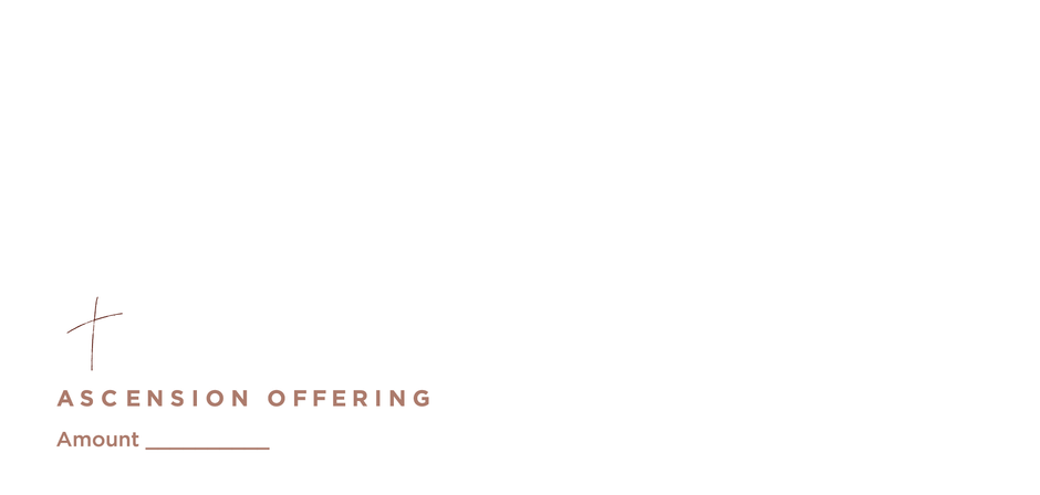 New Specialty Envelope Designs – National Church Solutions