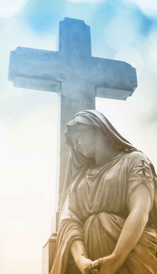 Hail Holy Queen Prayer Card (Packs of 10, 100 or 250) – National Church ...